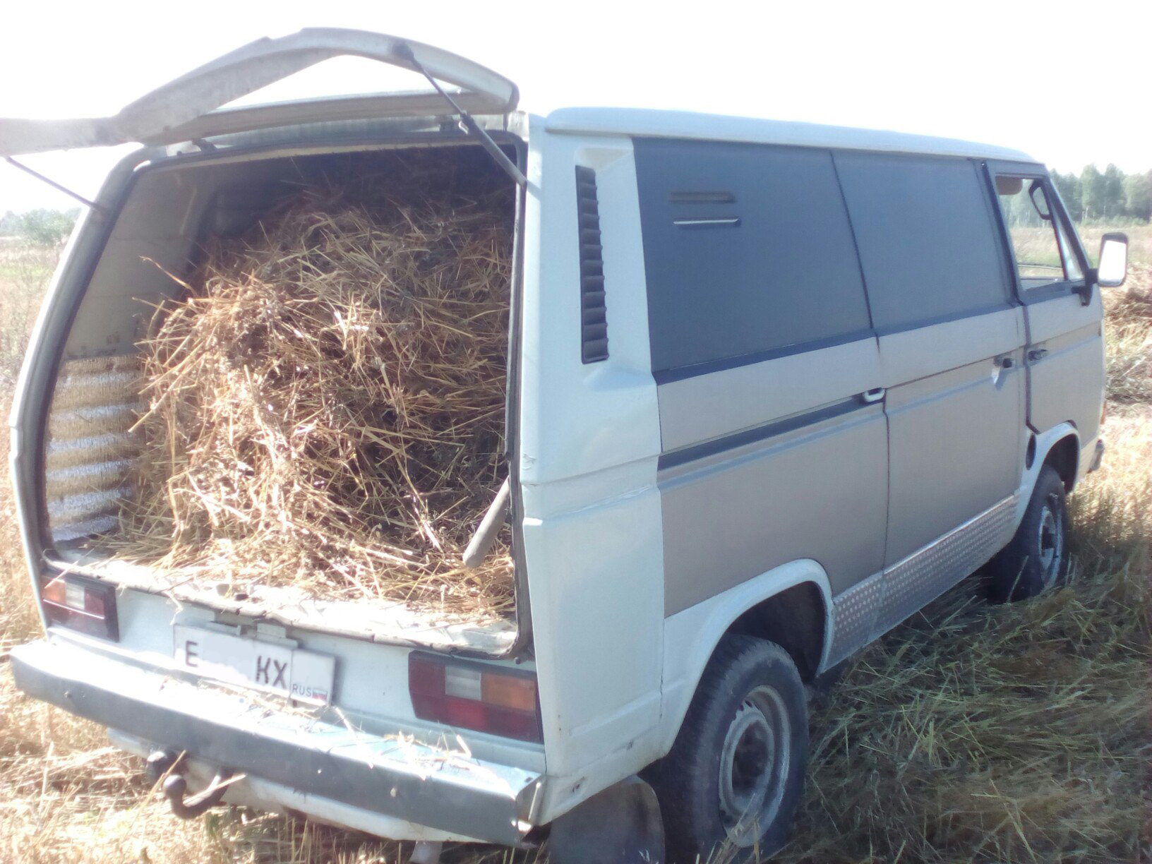вышел в поле с конем — Volkswagen Transporter T3, 1,6 л, 1988 года ...