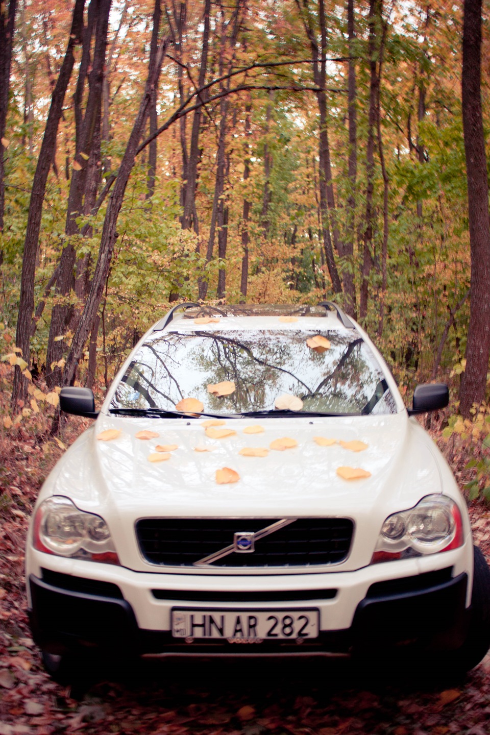 осень . лес. Volvo XC90. — Volvo XC90 (1G), 2,9 л, 2004 года ...