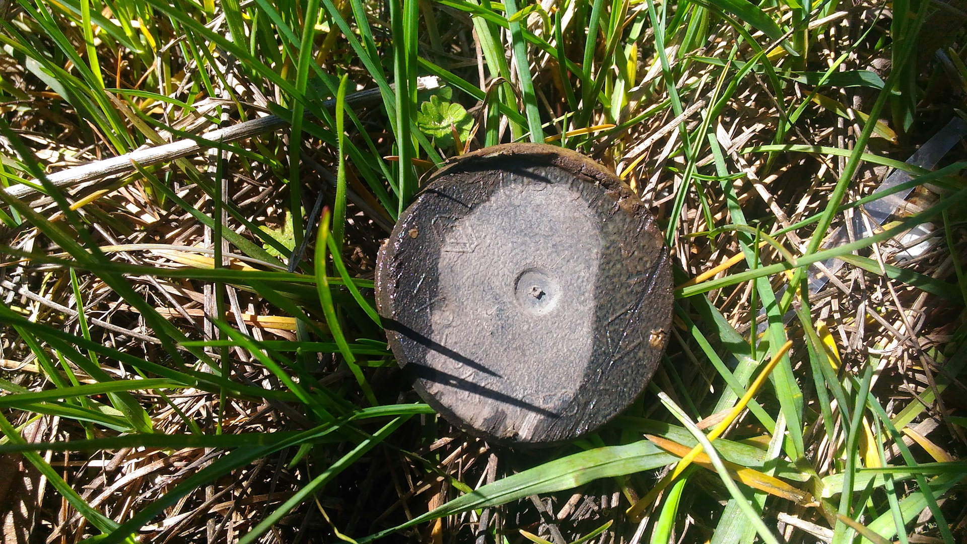 Заглушки пола и болтов — Renault Scenic II, 1,5 л, 2008 года | запчасти ...