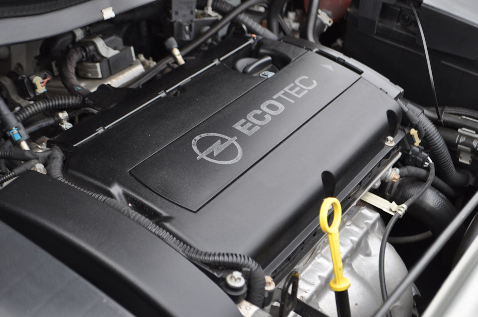 Путешествия по Кольскому. Масло REAL. — Opel Zafira B, 1,8 л, 2011 года ...