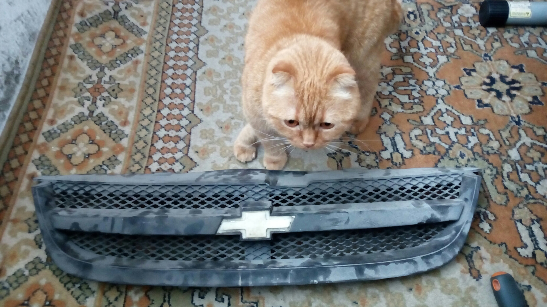 И снова она (решетка радиатора) — Opel Vectra B, 1,6 л, 1999 года ...