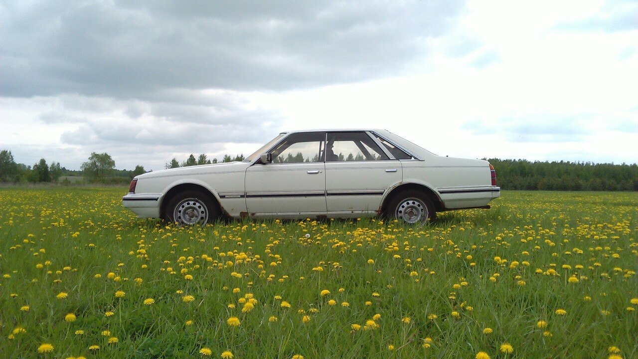 Новые фото Ларки) — Nissan Laurel (C31), 2 л, 1984 года | фотография ...