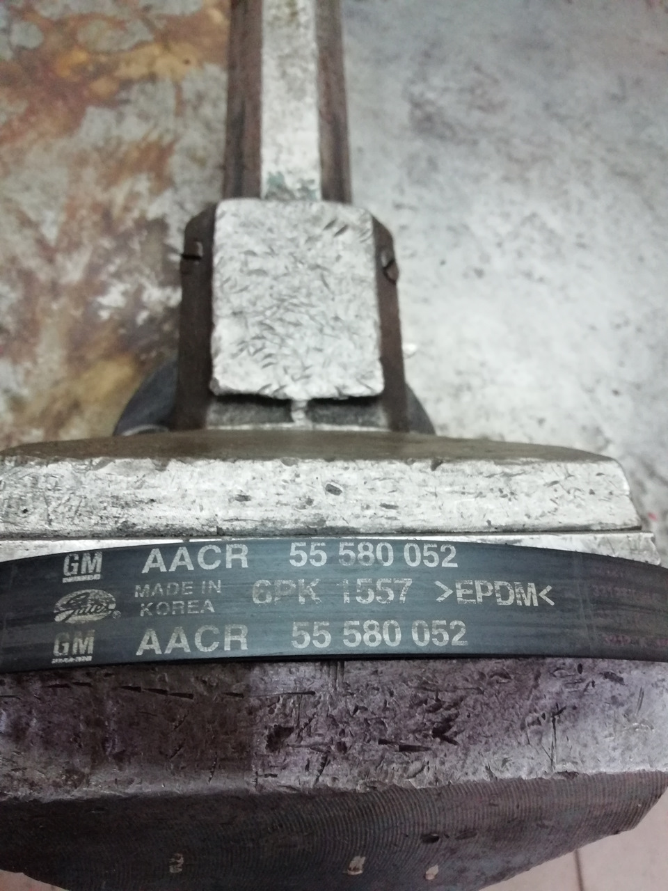 55580052 Ремень приводной Aveo T300 GM | Запчасти на DRIVE2