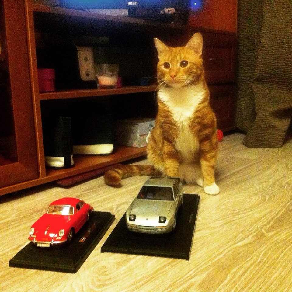 Знакомьтесь! — Audi A3 (8L), 1,8 л, 1997 года | фотография | DRIVE2