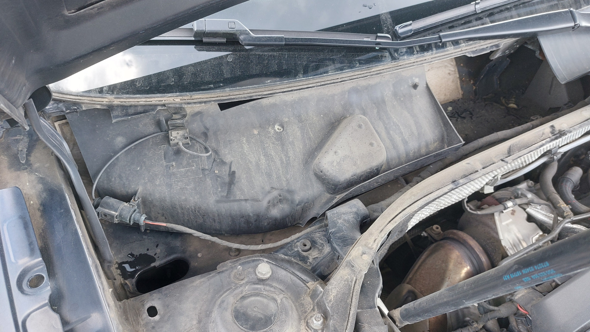 Датчик загрязнения и влажности воздуха. Датчик переднего парктроника ...