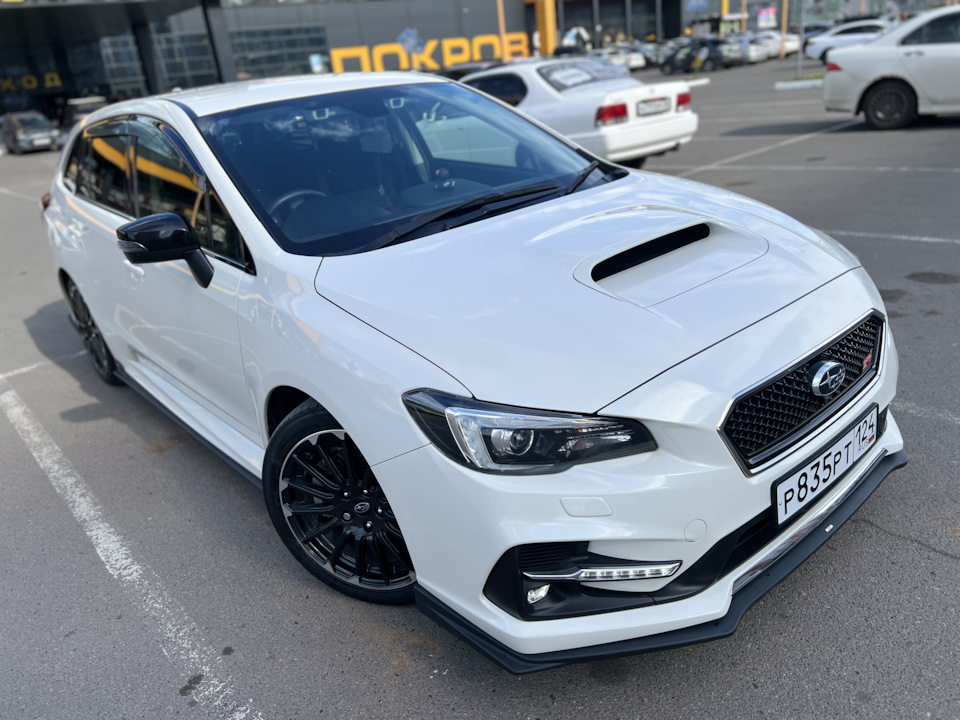 Levorg + фоточки #01 — Subaru Levorg (VM), 2 л, 2019 года | просто так ...