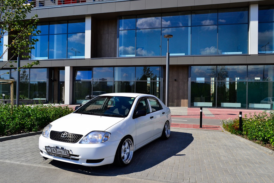 Солнечные кадры — Toyota Corolla (120), 1,3 л, 2001 года | фотография ...