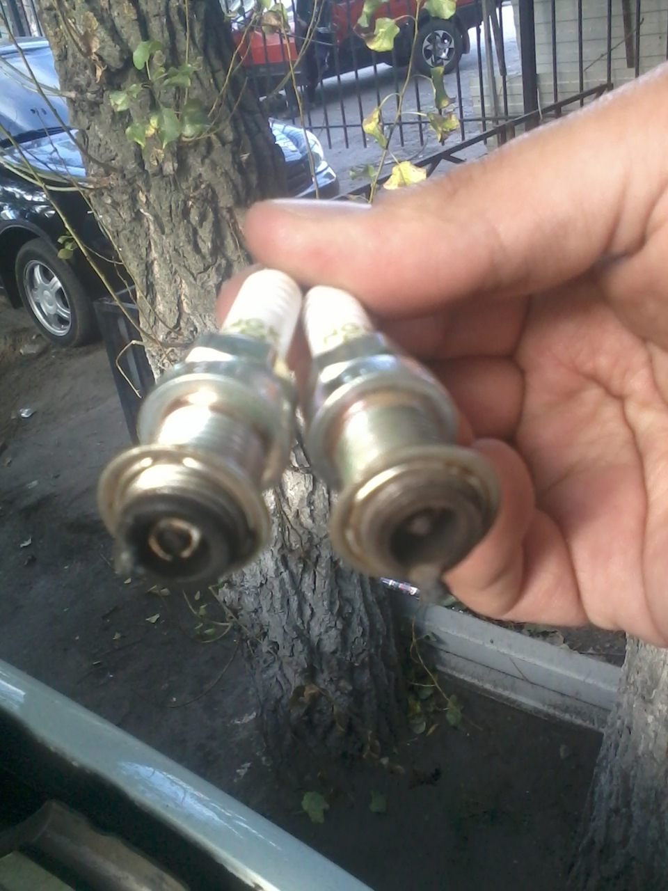 Свечи зажигания NGK — DRIVE2