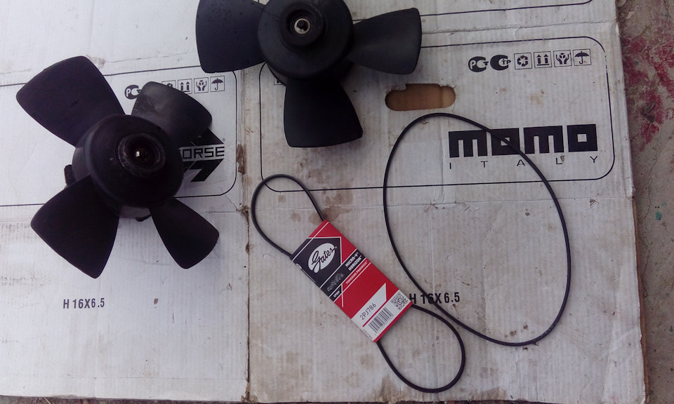 2PJ786 Ремень поликлиновой VW Passat Patron | Запчасти на DRIVE2