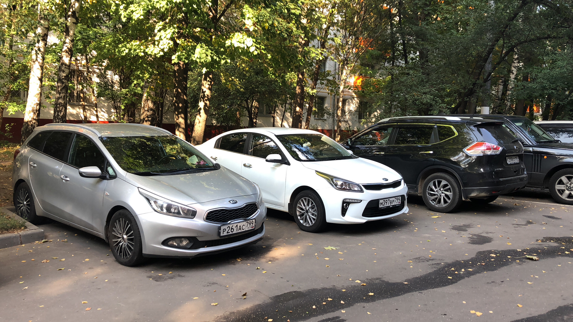 Спасибо верный друг 🙌💪 — KIA Ceed SW (2G), 1,6 л, 2013 года | покупка машины | DRIVE2