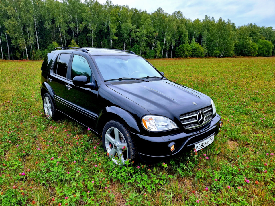 Рождение AMG — Mercedes-Benz M-Class (W163), 3,2 л, 2001 года | тюнинг ...