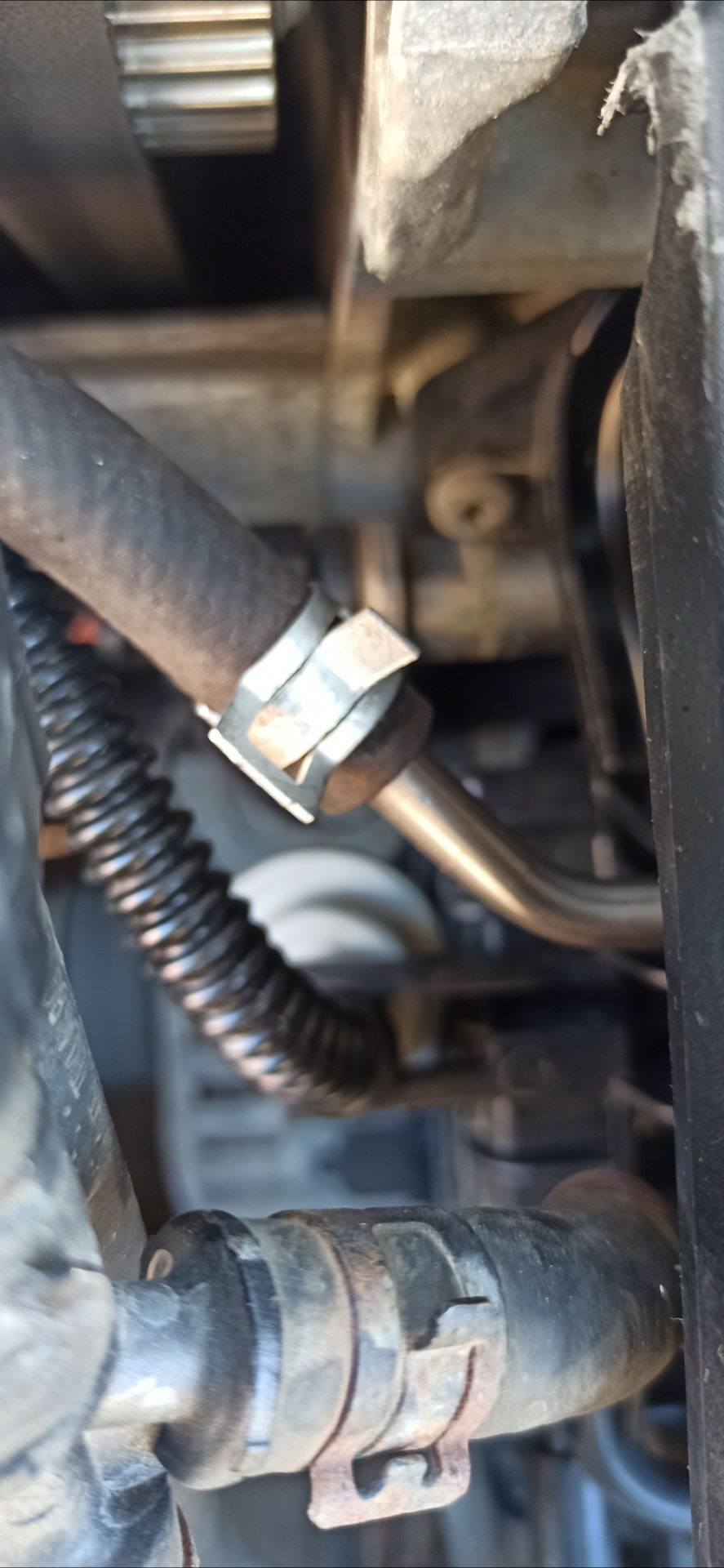 Снова ошибки: P2293, P008700, 02838 низкое давление топлива — Skoda ...