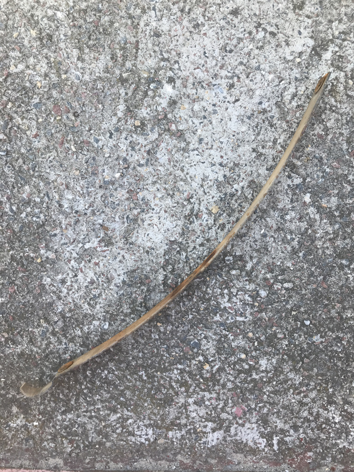 4150A094 РЕССОРА ЗАДНЯЯ L200 2007-… Mitsubishi | Запчасти на DRIVE2