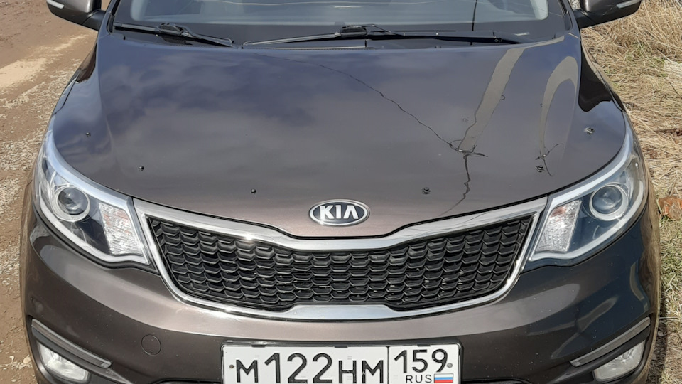 Лампочки в противотуманные фары — KIA Rio (3G), 1,6 л, 2016 года ...