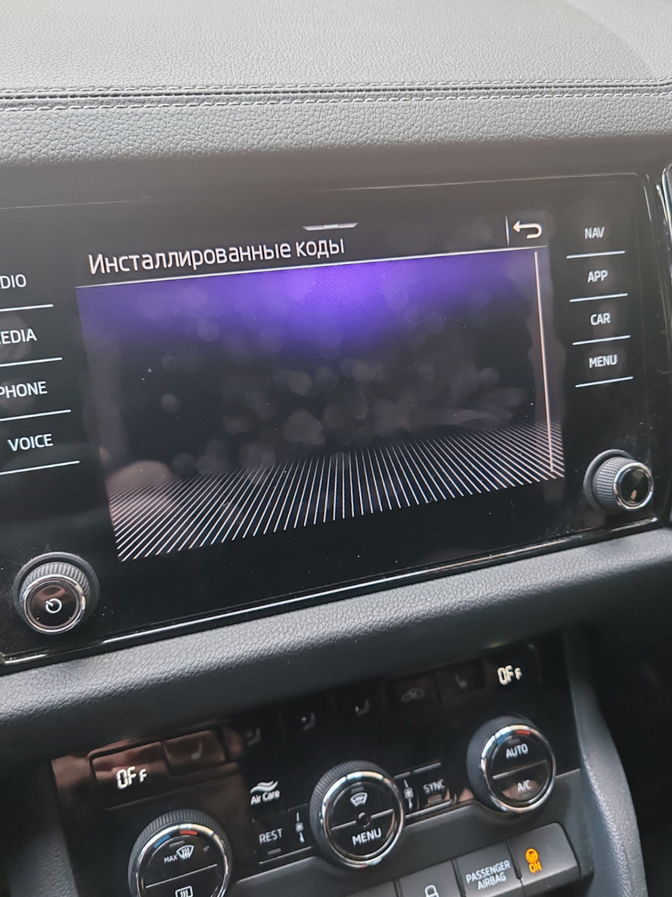 Активация полных наборов FEC/SWAP (навигации, carplay, голосового ...