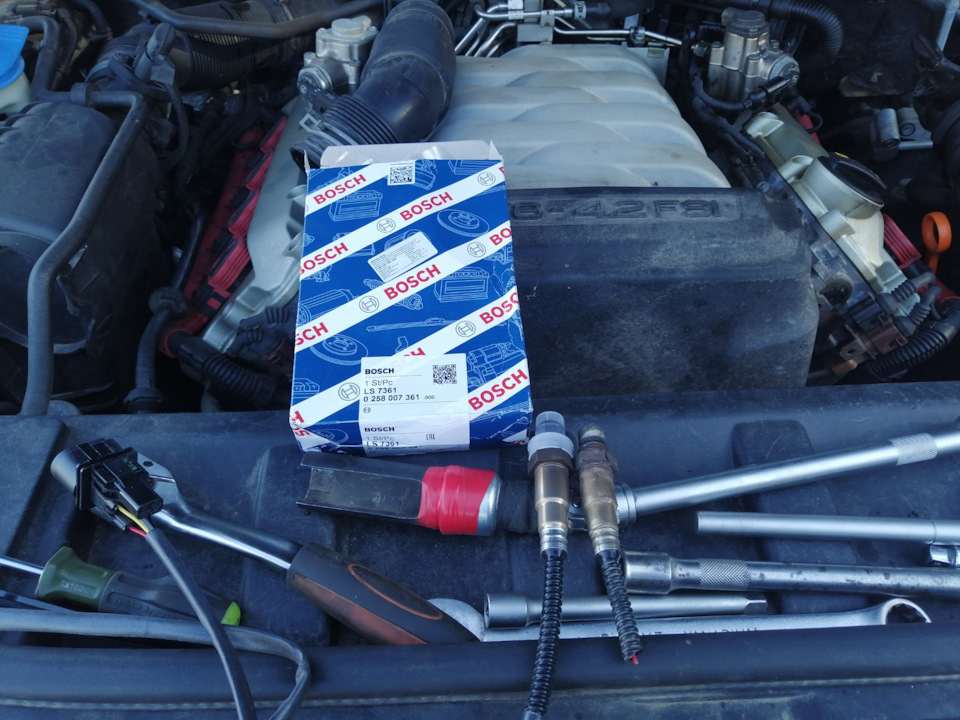 Замена переднего лямбдазонда, масла и фильтров. — Audi Q7 (1G), 4,2 л ...