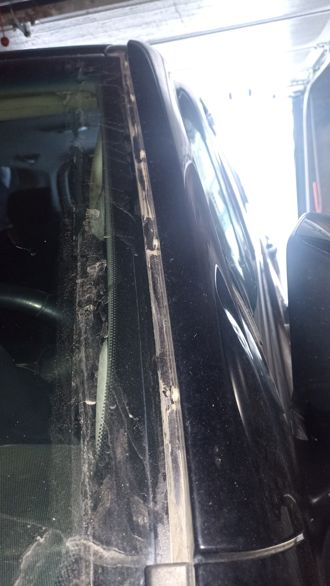 Молдинги лобового. — Toyota Land Cruiser Prado 150-series, 3 л, 2010 ...