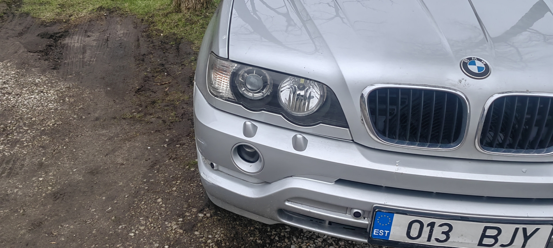 Фары Депо и ангельские глазки. — BMW X5 (E53), 3 л, 2002 года ...