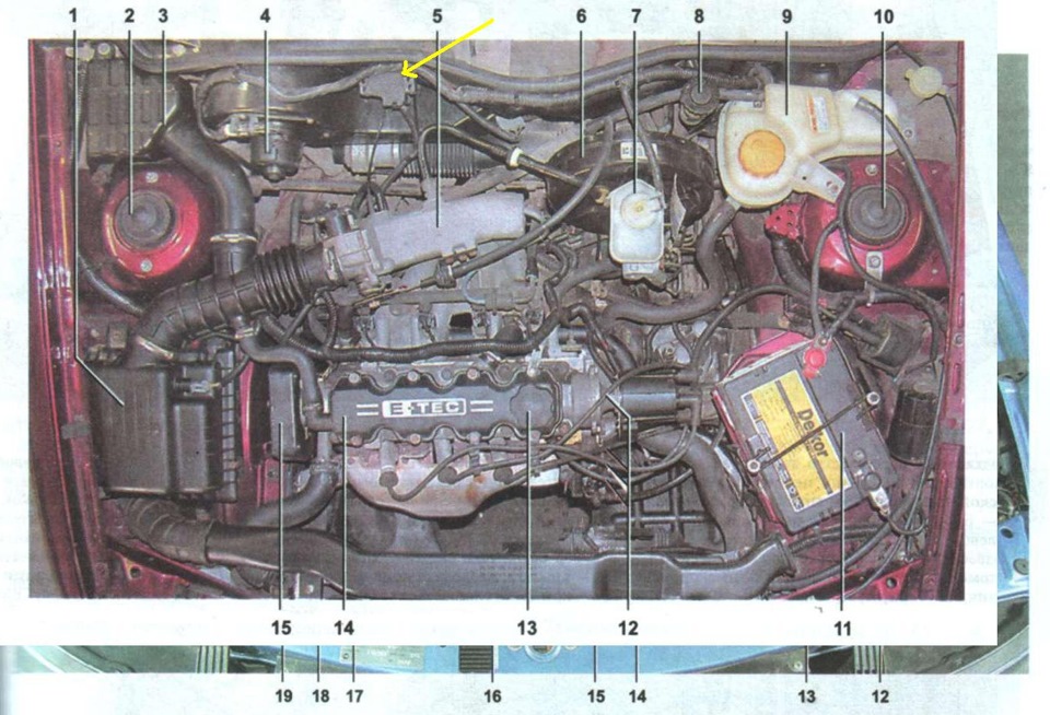 Прокладка Гбц? — Daewoo Nexia (2G), 1,5 л, 1999 года | поломка | DRIVE2