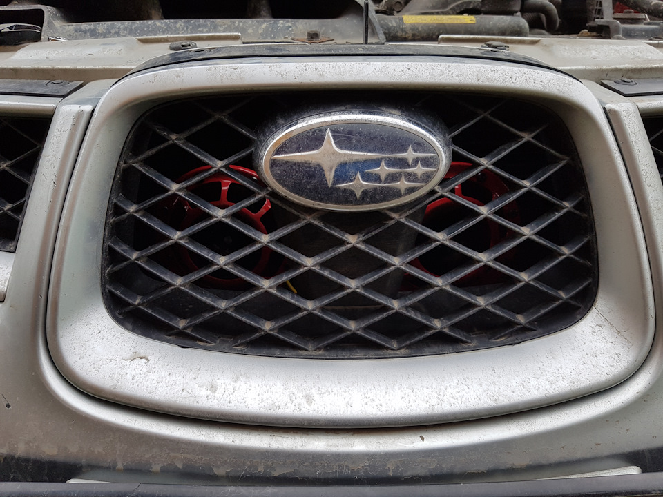 Сигналы Hella — Subaru Impreza (GD/GG), 2 л, 2006 года | тюнинг | DRIVE2