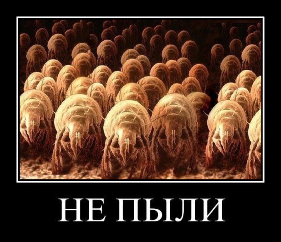 Пыль — или внешний фильтр, на воздухозаборник вентилятора… — Skoda ...