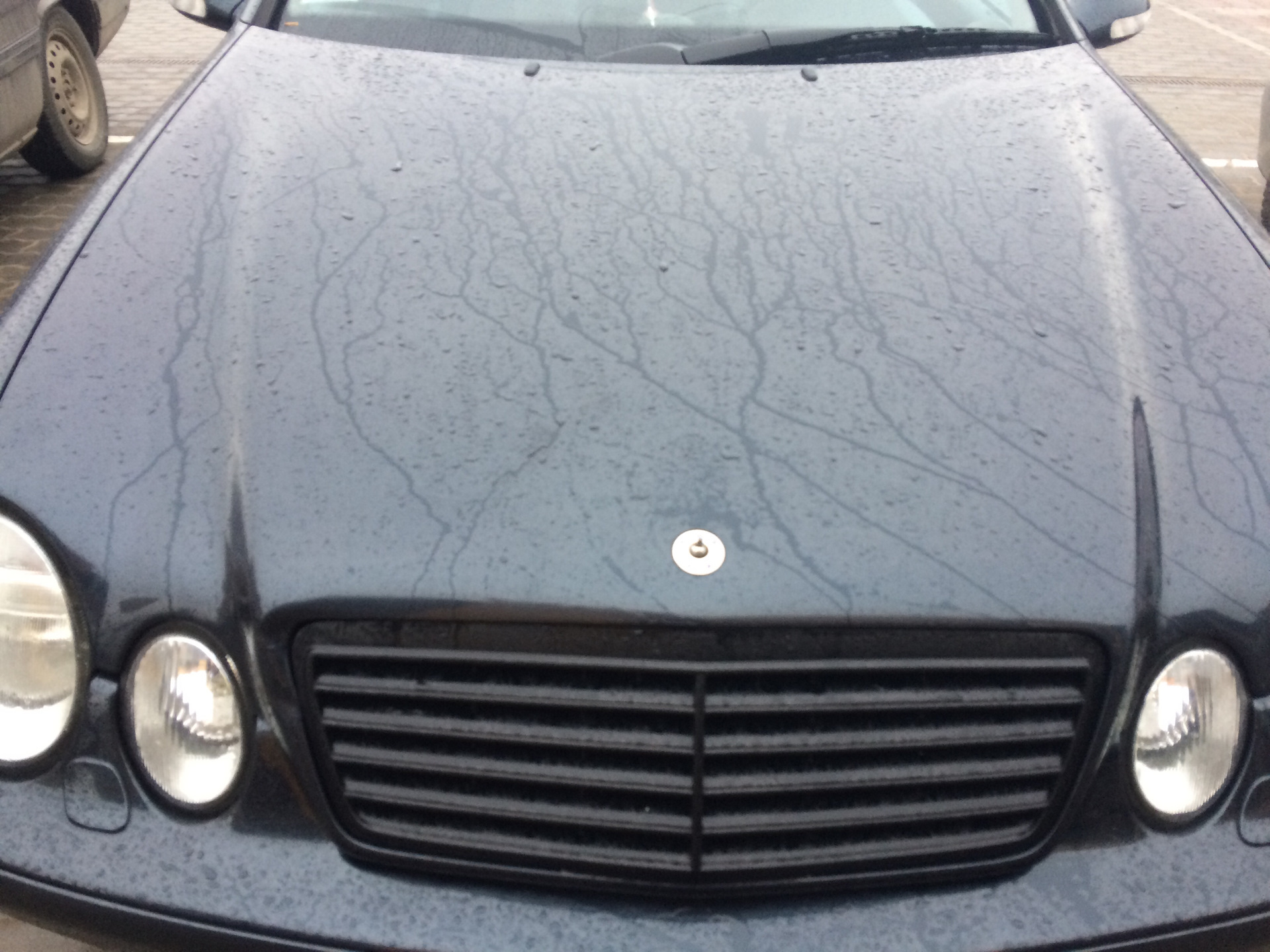 День х, або кончені людішки😖 — Mercedes-Benz CLK (W208), 2,3 л, 2001 ...