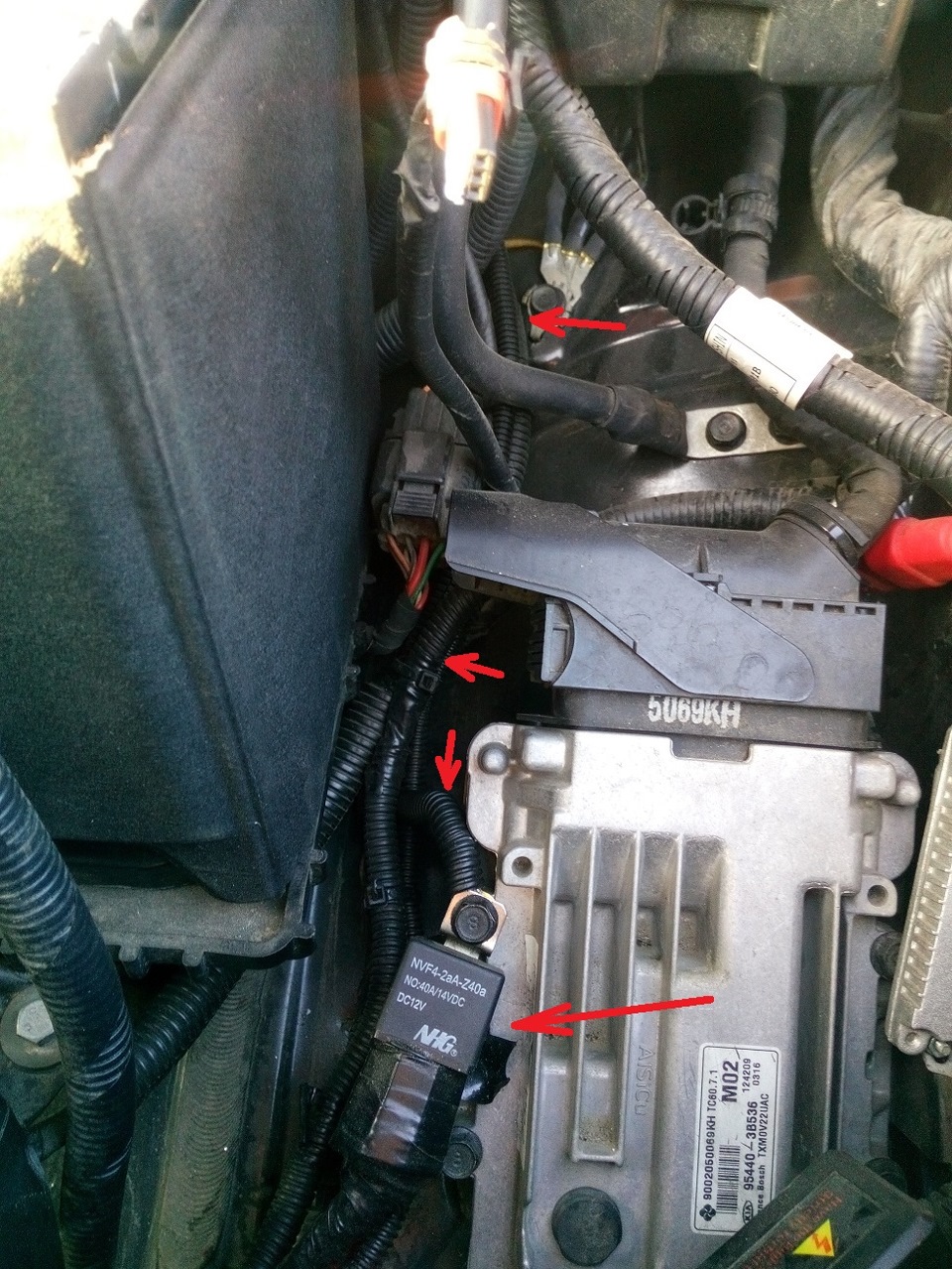 Ксенон в ПТФ — KIA Sorento (2G), 2,2 л, 2012 года | электроника | DRIVE2