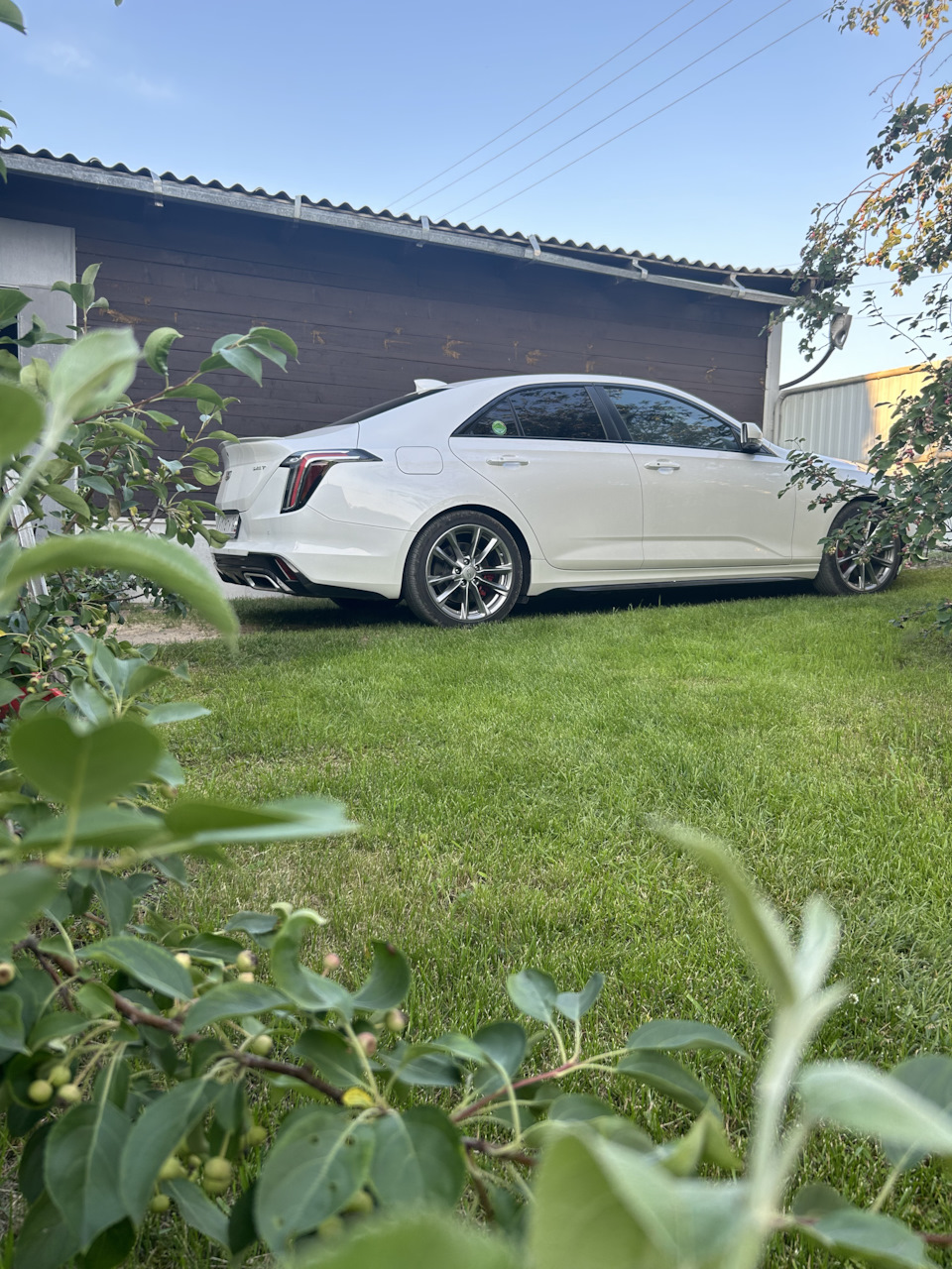 Неделю пользования Cadillac CT4 — Cadillac CT4, 2 л, 2020 года | наблюдение | DRIVE2