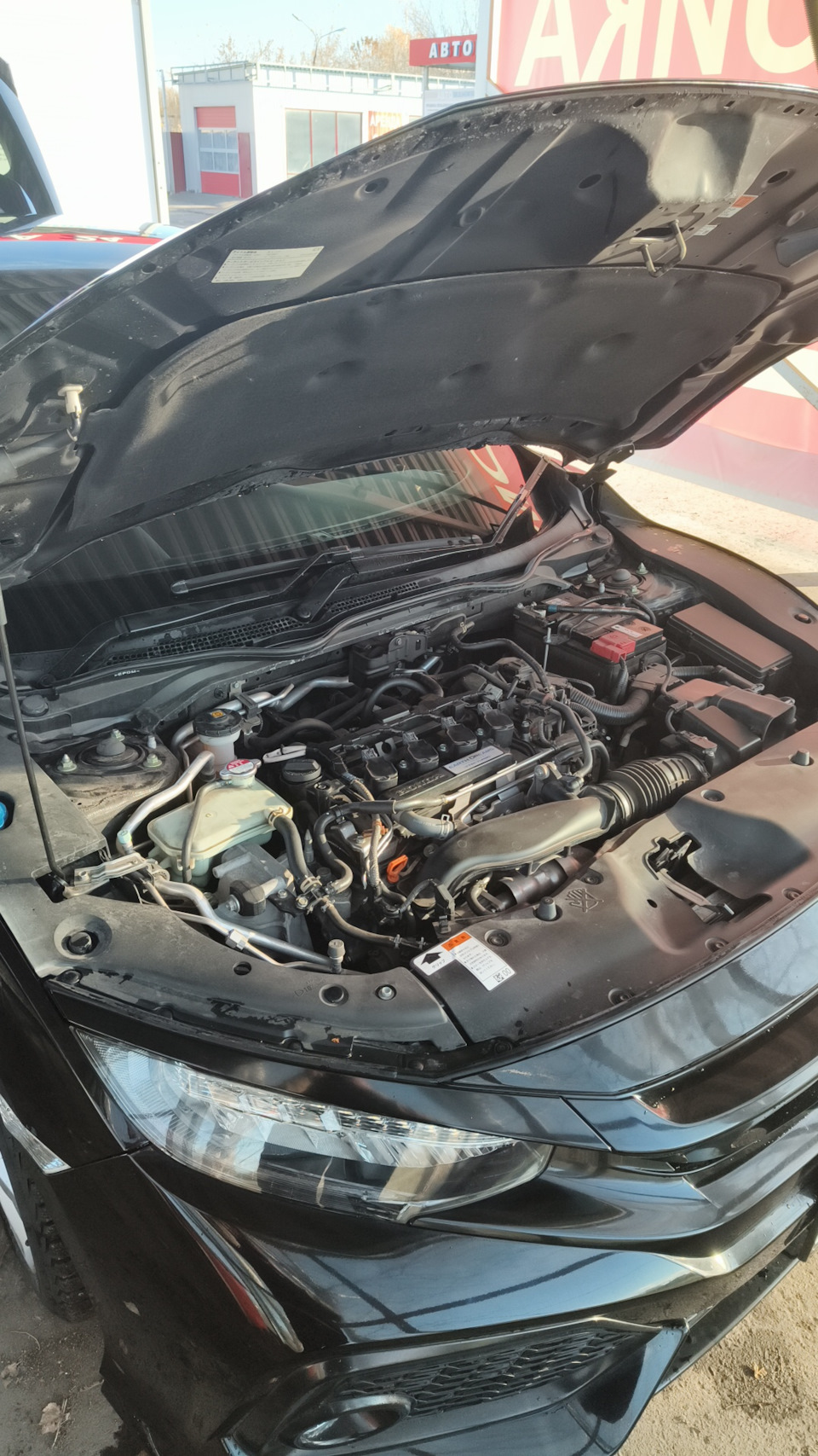 Антикор, смена резины и осеняя мойка — Honda Civic 4D (10G), 1,5 л ...