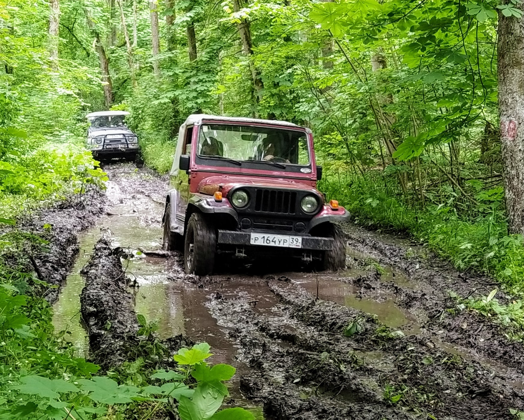 После 12 летнего простоя в гараже — Asia Rocsta, 2,2 л, 1996 года ...