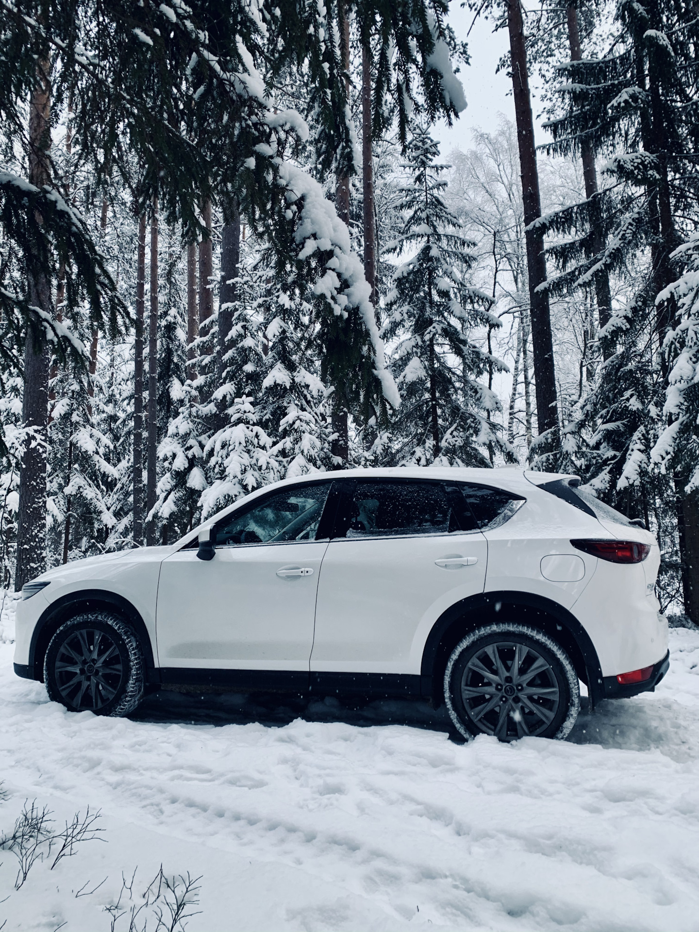 Артикулы запчастей для ТО-1 — Mazda CX-5 (2G), 2,5 л, 2019 года | плановое ТО | DRIVE2