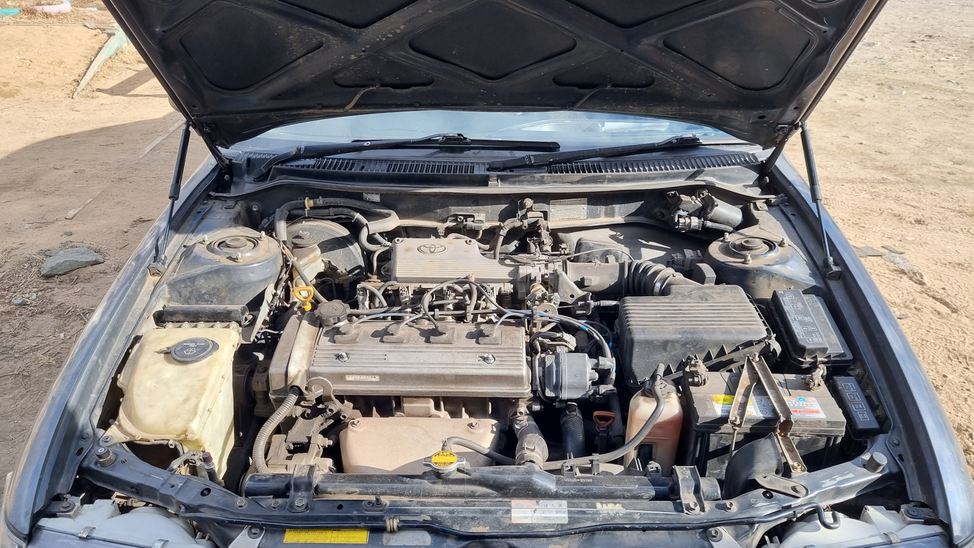 Toyota Corolla (100) 1.6 бензиновый 1991 | Ae101 на DRIVE2