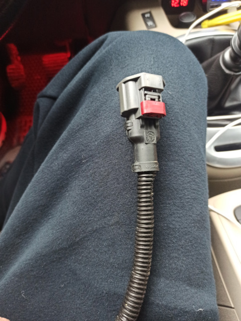 8201625545 Рем комп. проводки RENAULT | Запчасти на DRIVE2