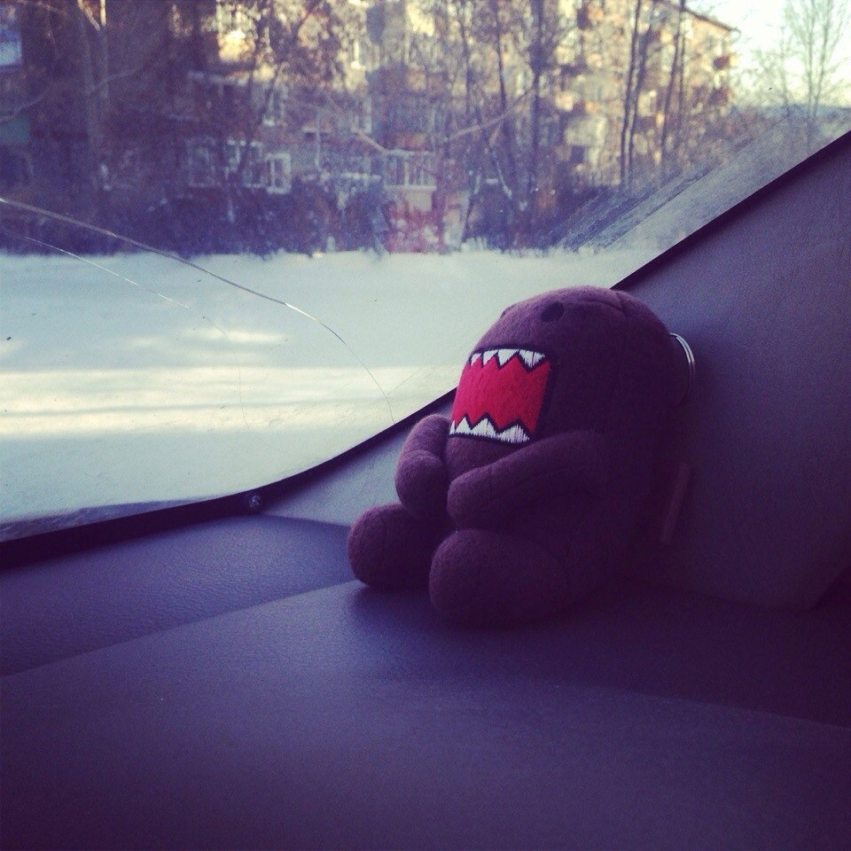 Domo в новом доме) — Toyota Corolla Fielder (E120), 1,5 л, 2002 года ...