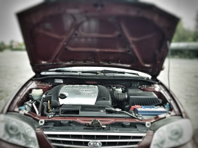 Самостоятельная мойка двигатели. — KIA Spectra, 1,6 л, 2005 года ...