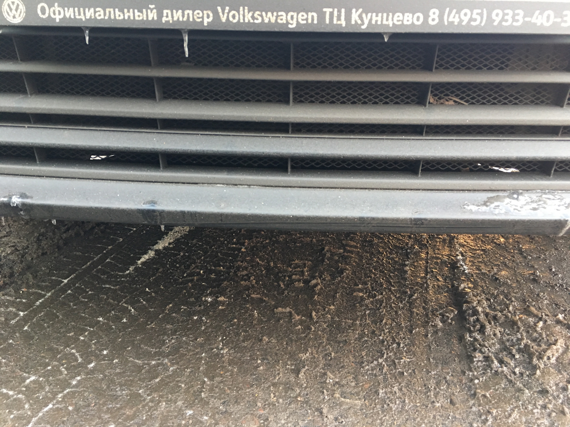 Защитная сетка — Volkswagen Polo Sedan, 1,6 л, 2016 года | стайлинг ...