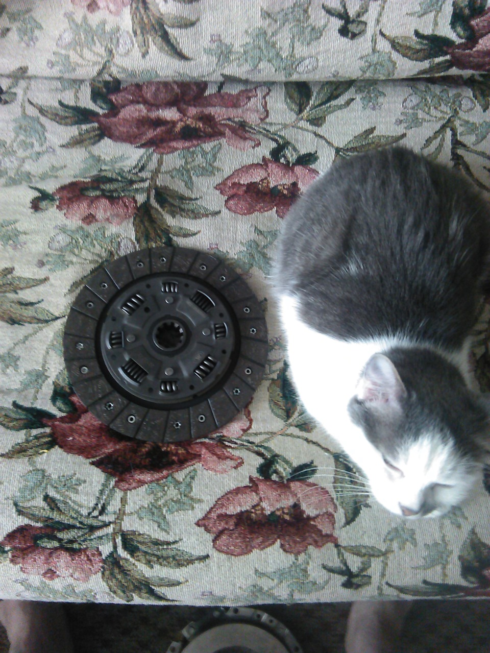 Прибыло сцепление — Mercedes-Benz W123, 3 л, 1979 года | запчасти | DRIVE2