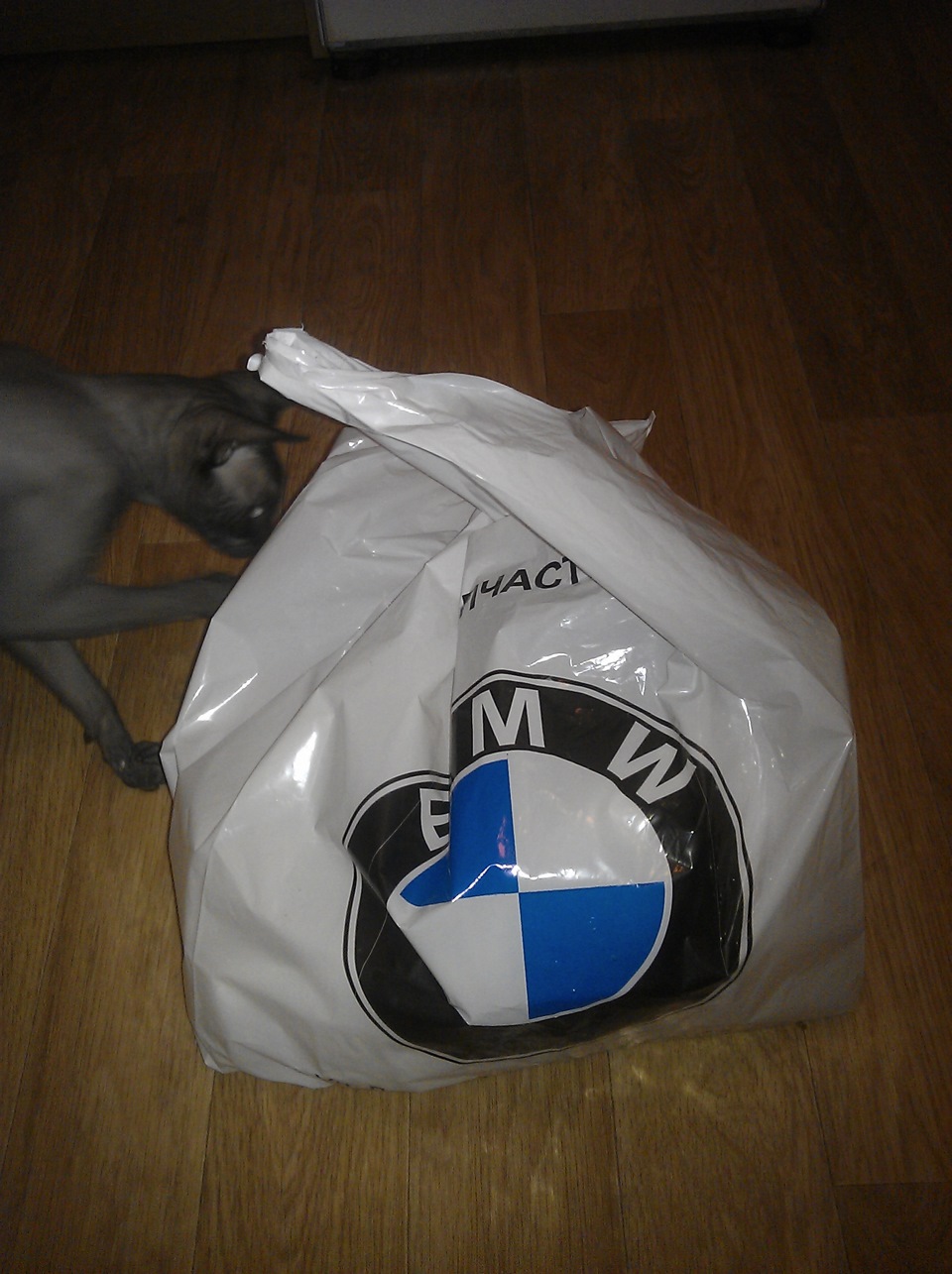 Ещё запчасти! Ура! или Скоро едем к Дяде Грише! — BMW 5 series Touring ...