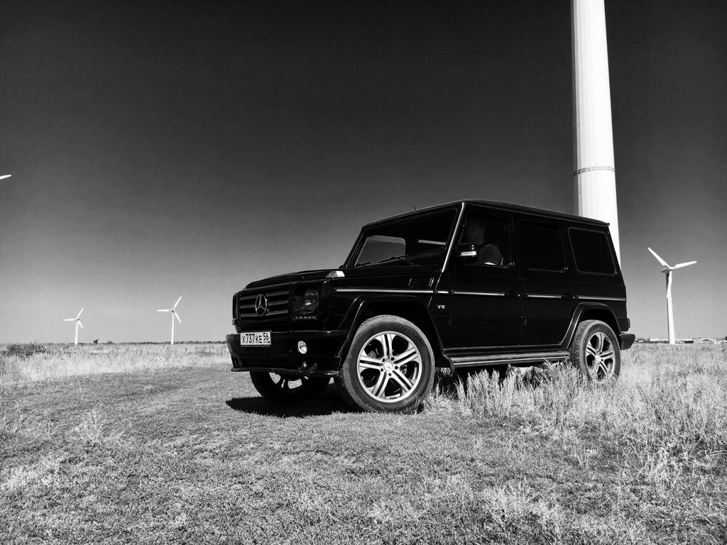 А вот это поймала жена… — Mercedes-Benz G-Class (W463 1G), 5 л, 1999 года | фотография | DRIVE2