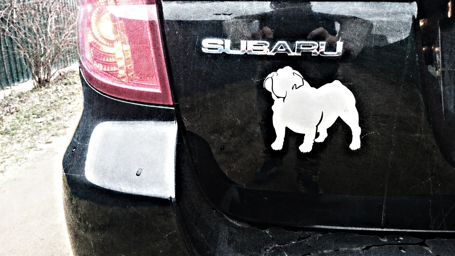 Subaru Outback (BP) 2.5 бензиновый 2007 | SubaKA-BULLDOG на DRIVE2