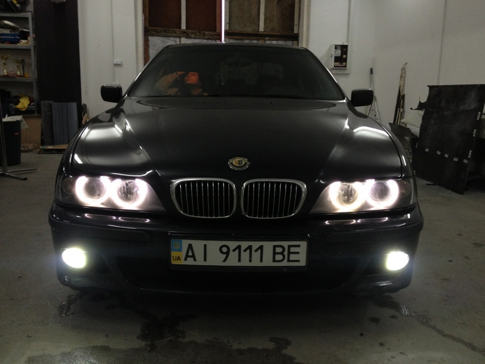 Ксенон в противотуманки — BMW 5 series (E39), 2003 года | стайлинг | DRIVE2