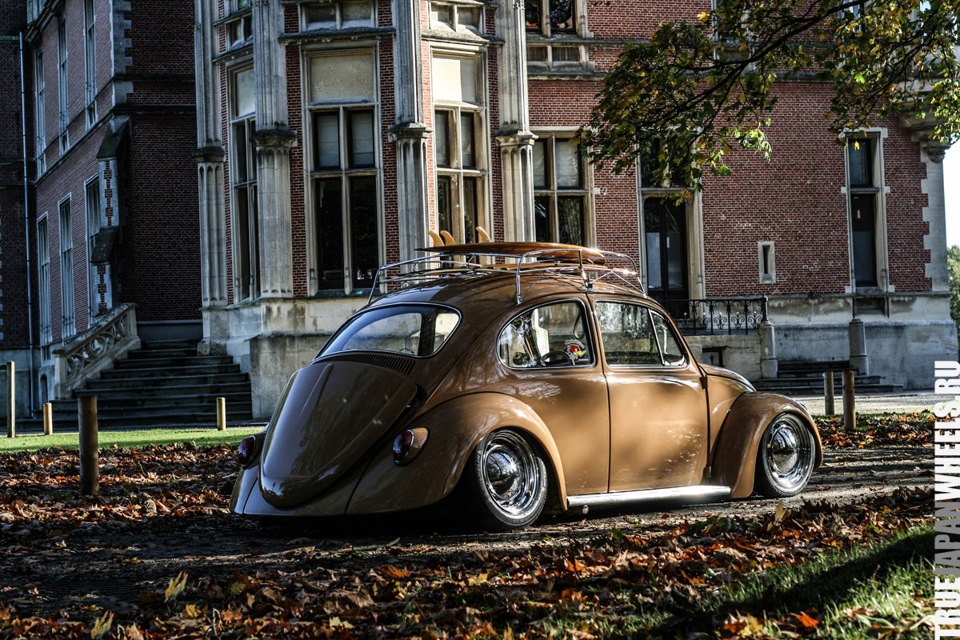 Jeffry's Bug — Сообщество «Stanced» на DRIVE2