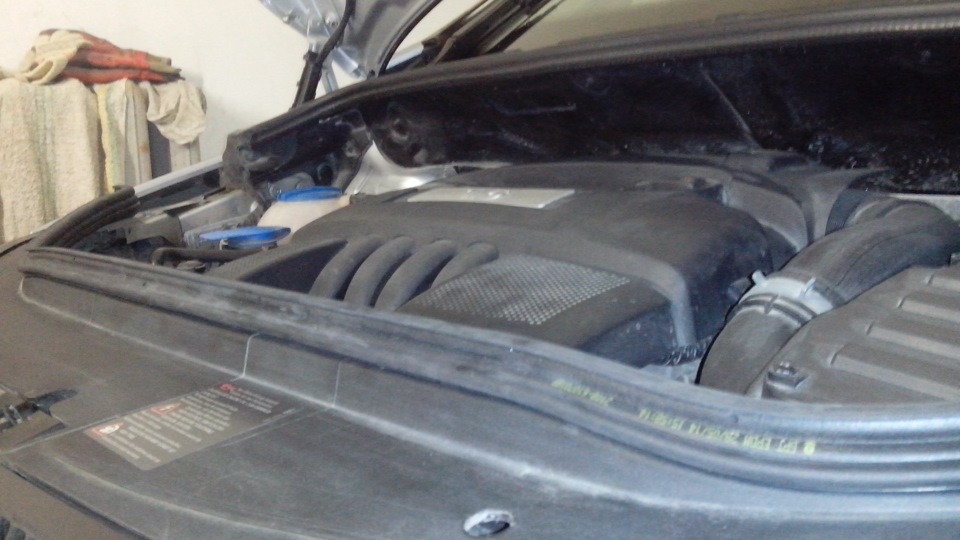 Уплотнительная резинка под капот) — Volkswagen Golf Plus, 1,6 л, 2008 ...