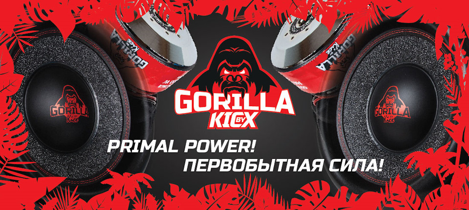 Kicx Russia. GORILLA BASS 18 — Ford Focus Hatchback II, 1,8 л, 2006 года | автозвук | DRIVE2