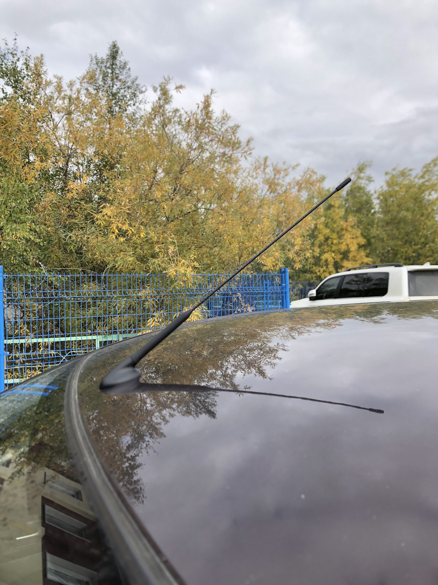 Замена антенны — Ford Focus Hatchback II, 1,6 л, 2010 года | своими ...