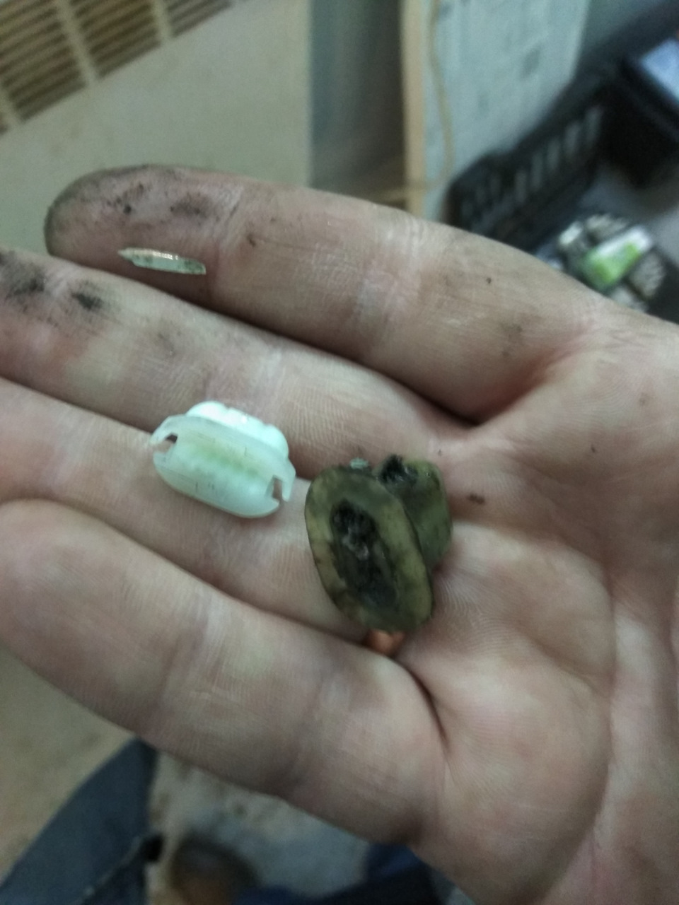 Крепления для саморезов (мамы) — Renault Scenic I, 2 л, 2003 года ...