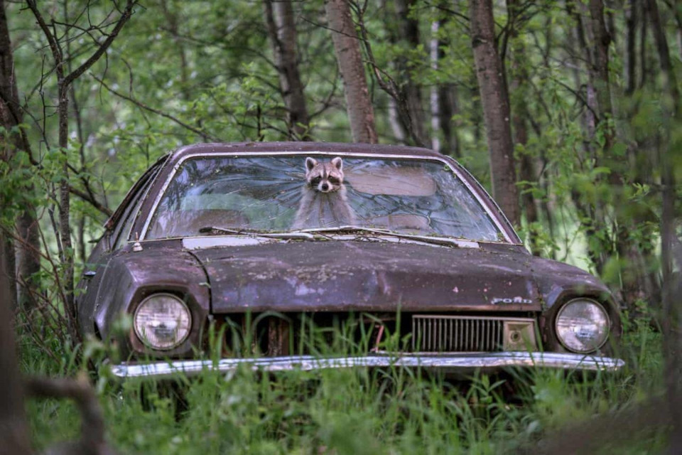Магнитола 2din что посоветуете? — KIA Ceed (1G), 1,4 л, 2007 года ...