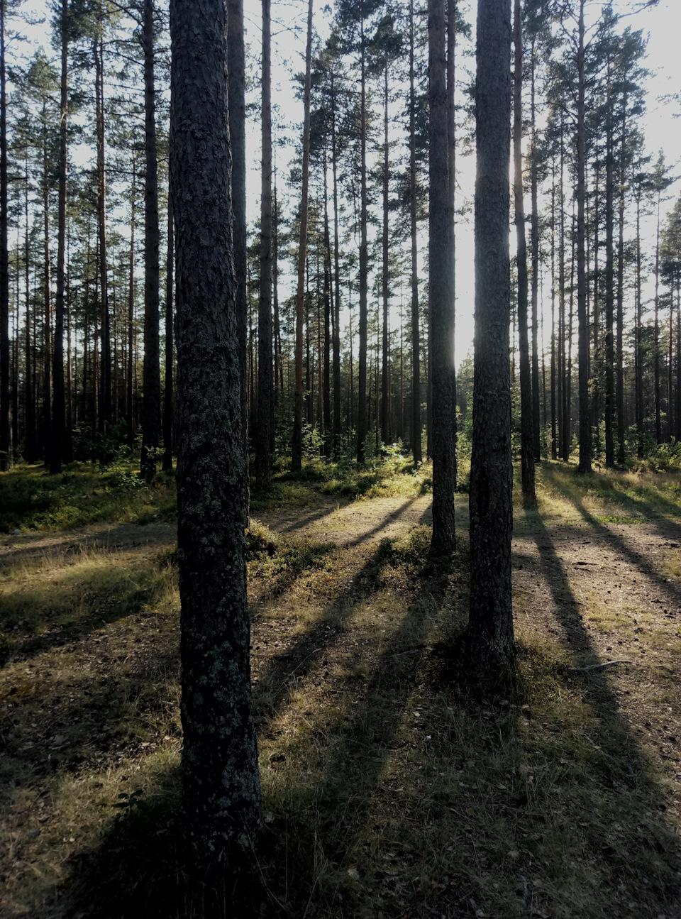 Контрольная закупка — Opel Astra H GTC, 1,6 л, 2010 года | плановое ТО ...