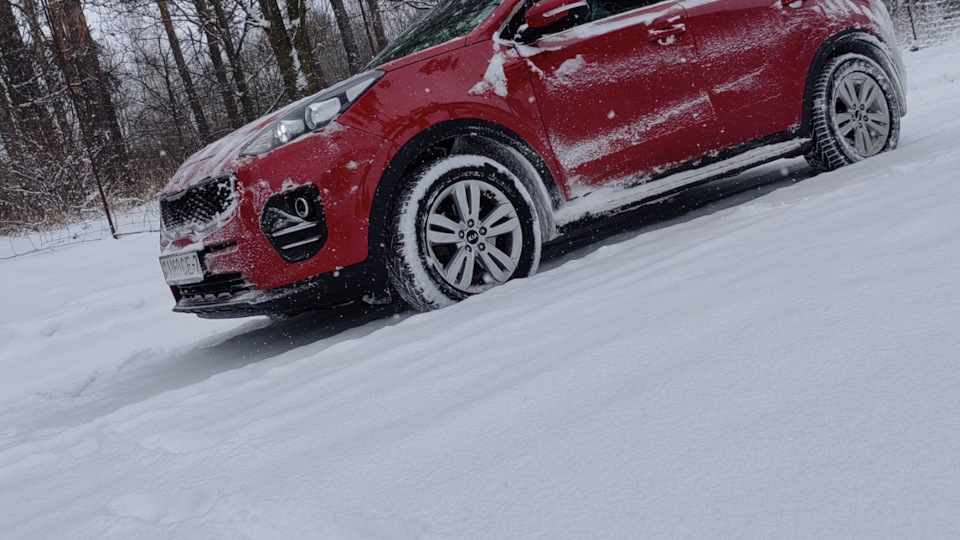 Камера заднего вида. — KIA Sportage (4G), 2 л, 2017 года | аксессуары ...