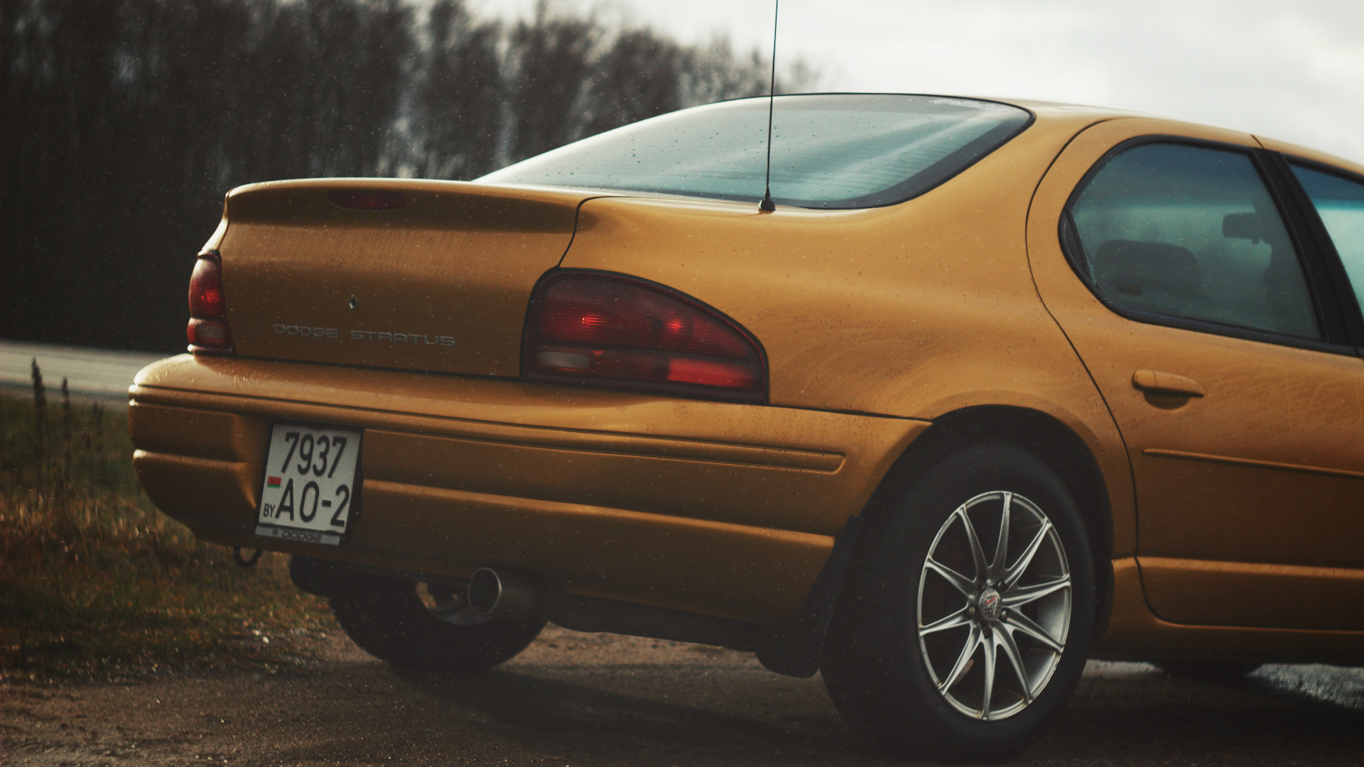 Dodge Stratus (1G) 2.4 бензиновый 1999 | Gold на DRIVE2